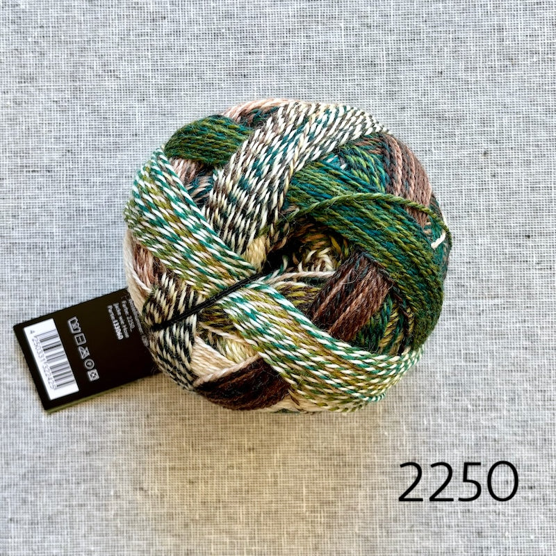 Zauberball Stärke 6 by Schoppel (sport/sock) – Heavenly Yarns